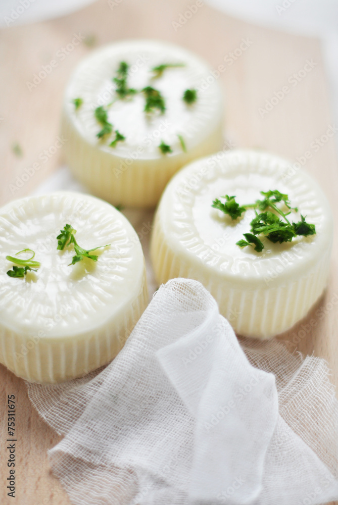 gbejna fromage maltais Stock Photo | Adobe Stock