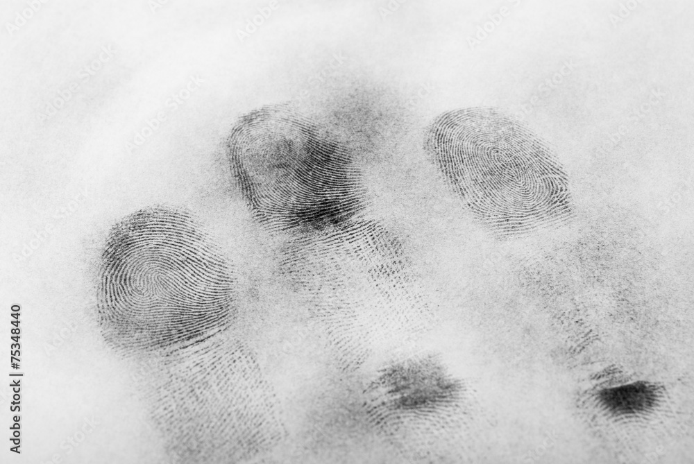 fingerprint Stock Photo | Adobe Stock