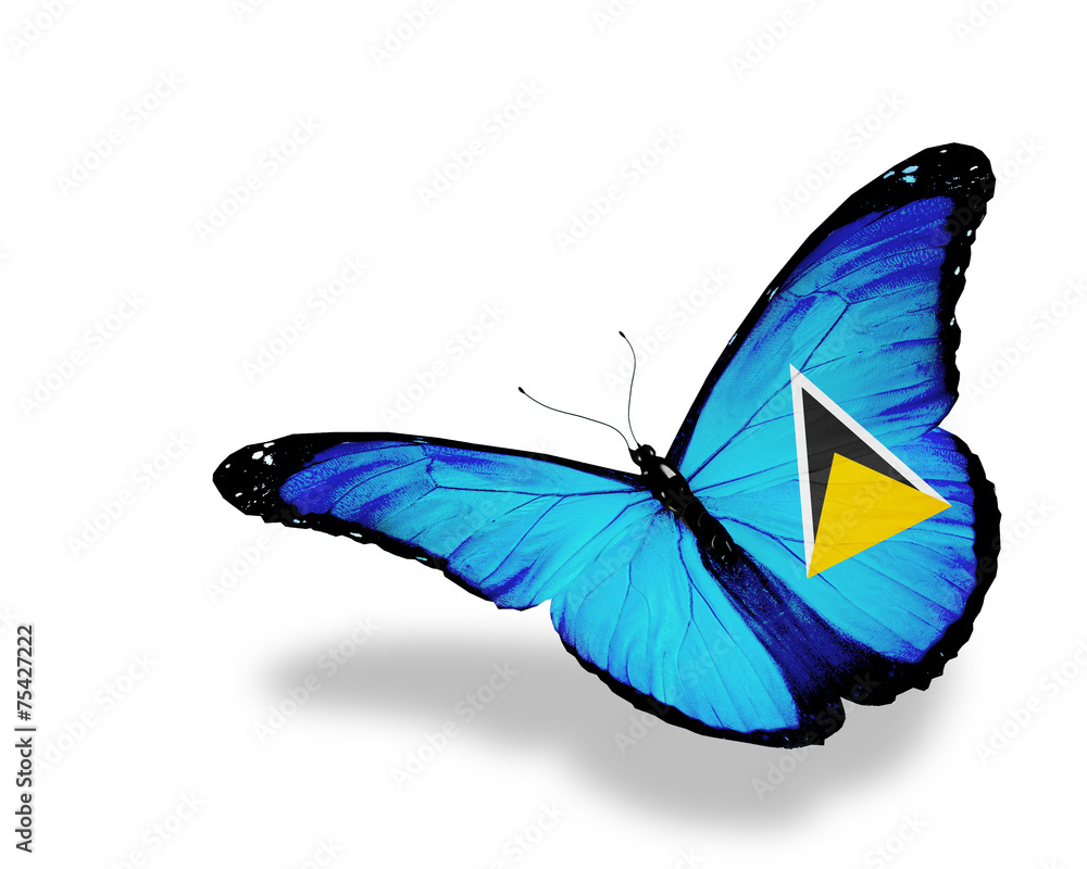 Saint Lucia flag butterfly flying, isolated on white background Stock ...