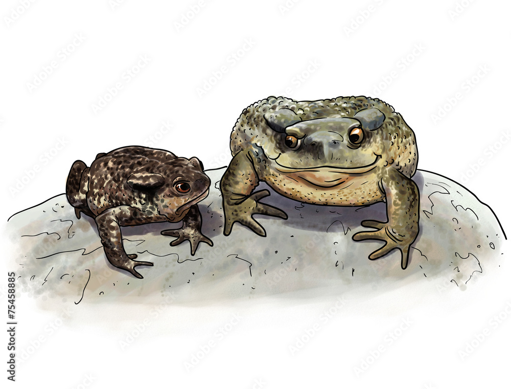 Foul Frog Couple Template