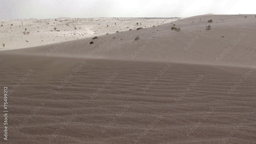 Timelapse sand blowing over dunes in the desert Stock Video | Adobe Stock
