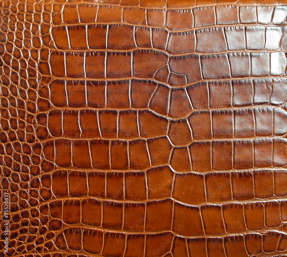 Crocodile leather Stock Photo | Adobe Stock
