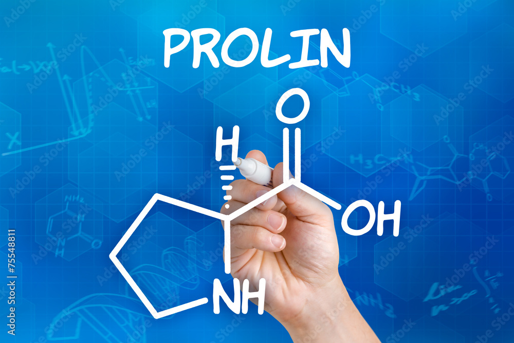 Hand mit Stift zeichnet chemische Strukturformel von Prolin Stock-Foto ...