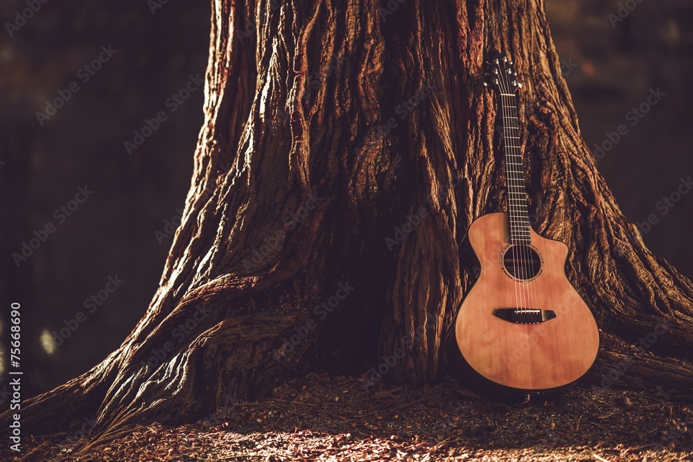 Acoustic Guitar and Tree Stock Photo | Adobe Stock