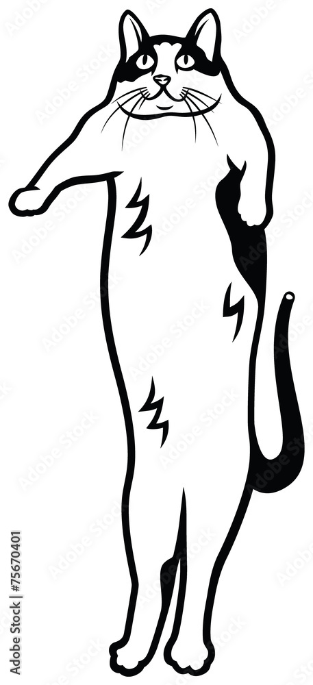 Cat Standing Up Drawing