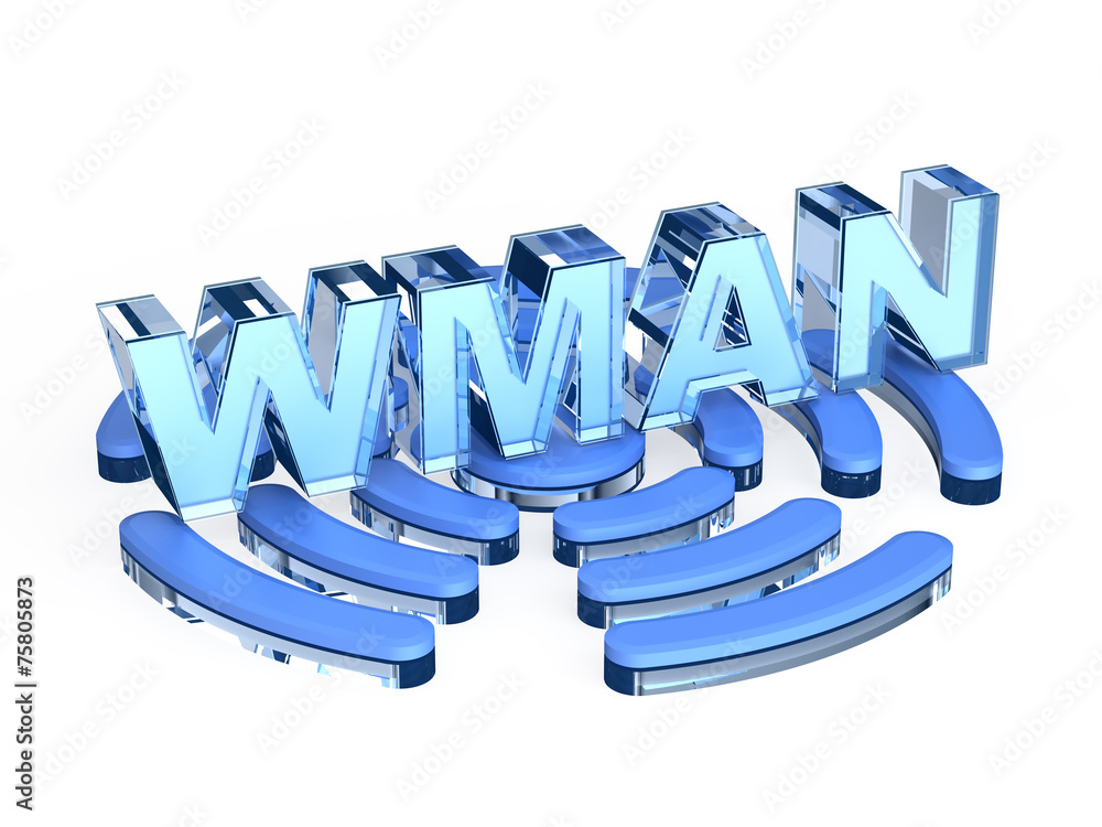 Wireless Metropolitan Area Network