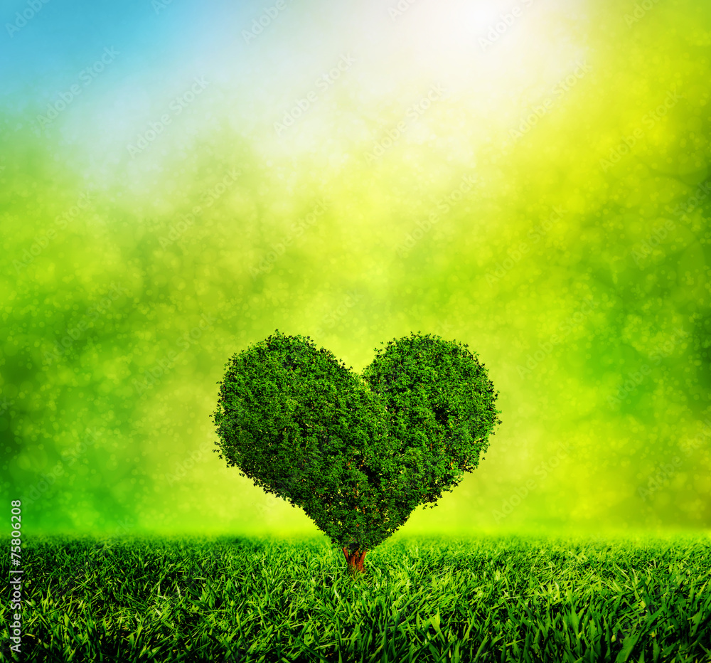 Heart shaped tree growing on green grass. Love, nature Stock ...