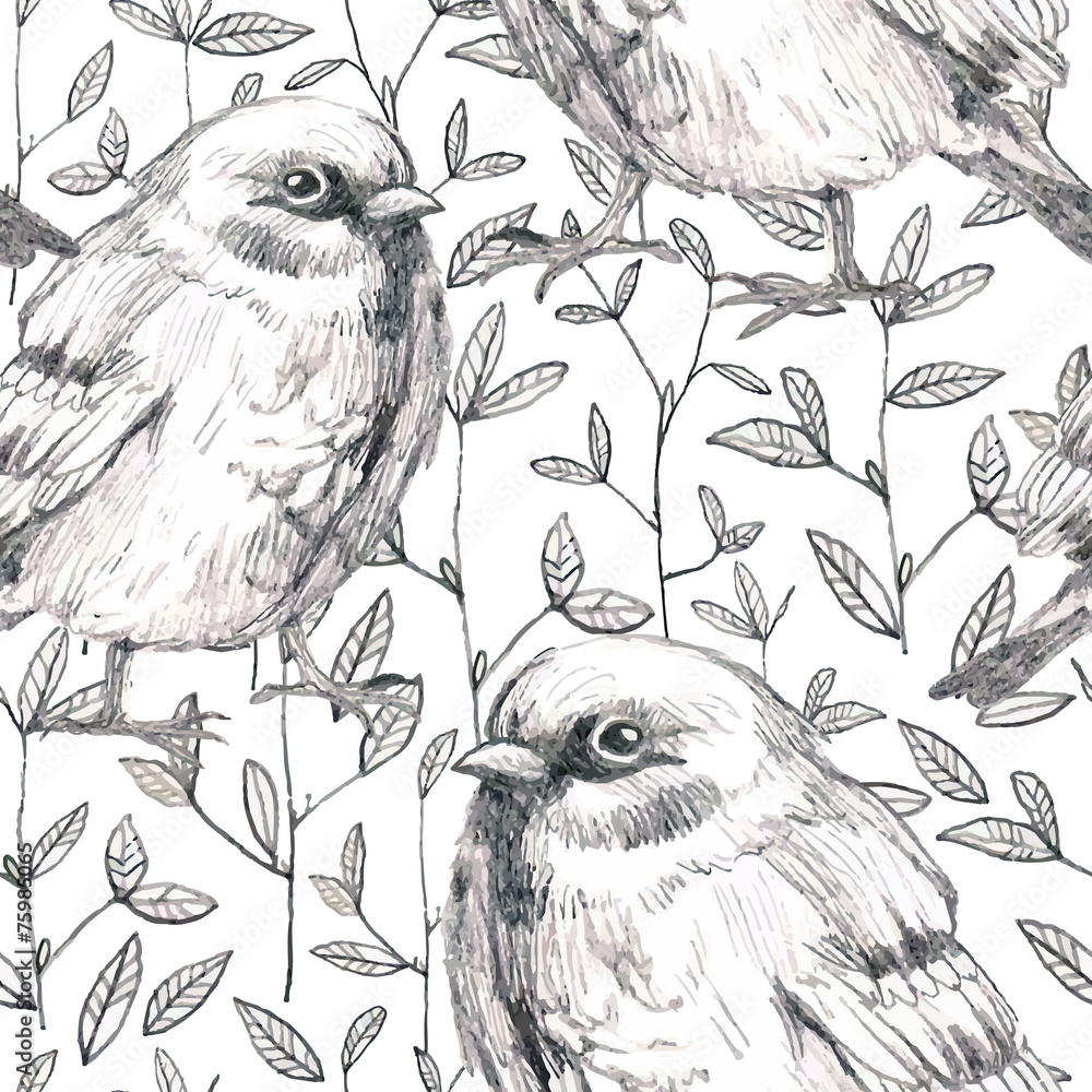 Pencil Sketch Of A Bird