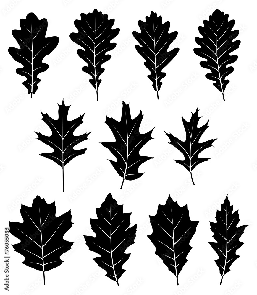 oak leaves Stock Vector | Adobe Stock