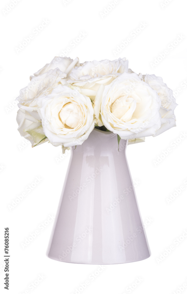 rose Stock Photo | Adobe Stock