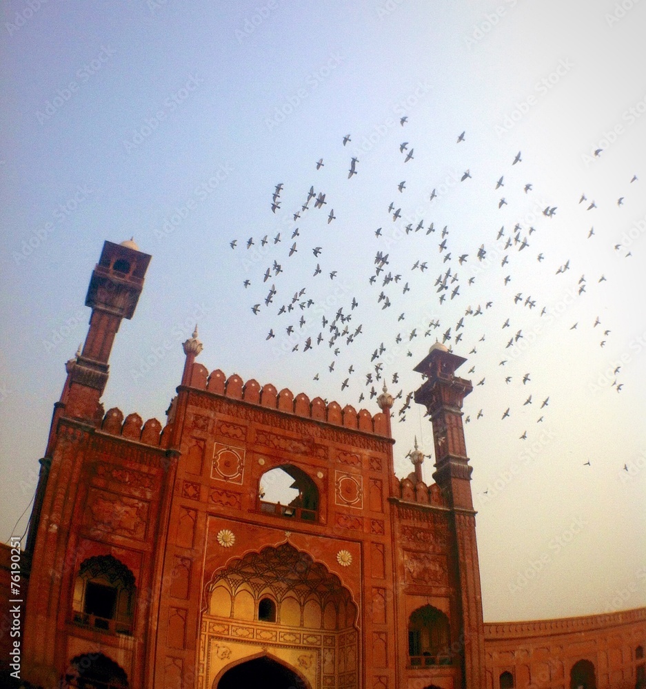 birds flying over a mosque Stock Photo | Adobe Stock