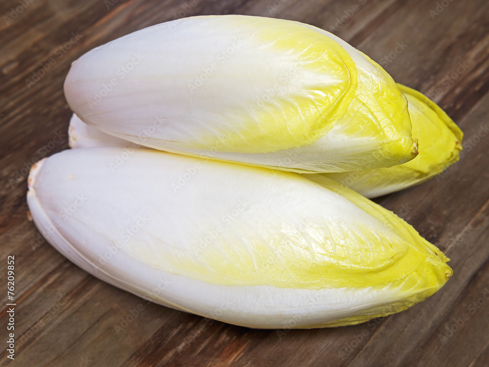 Chicoree Stock-Foto | Adobe Stock