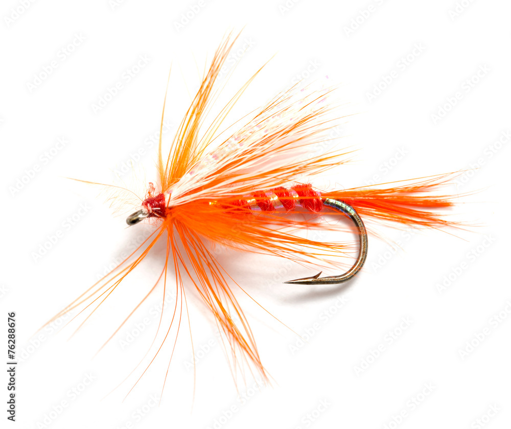 Fluffy fly fishing hook isolated on white Stock Photo | Adobe Stock