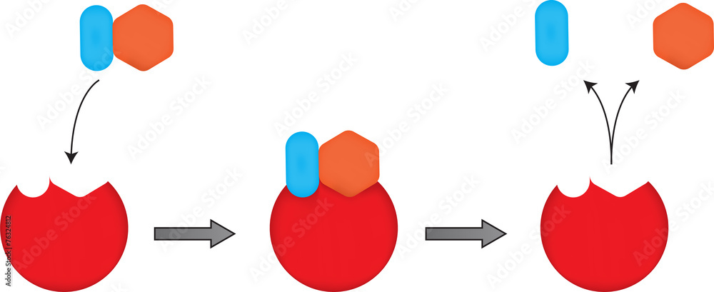 The Lock and Key Mechanism Stock Illustration | Adobe Stock