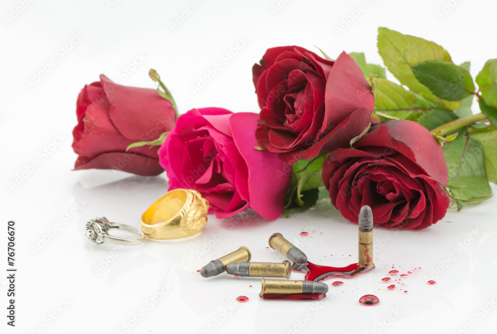bullet on blood and red rose isolated on white background Stock Photo ...