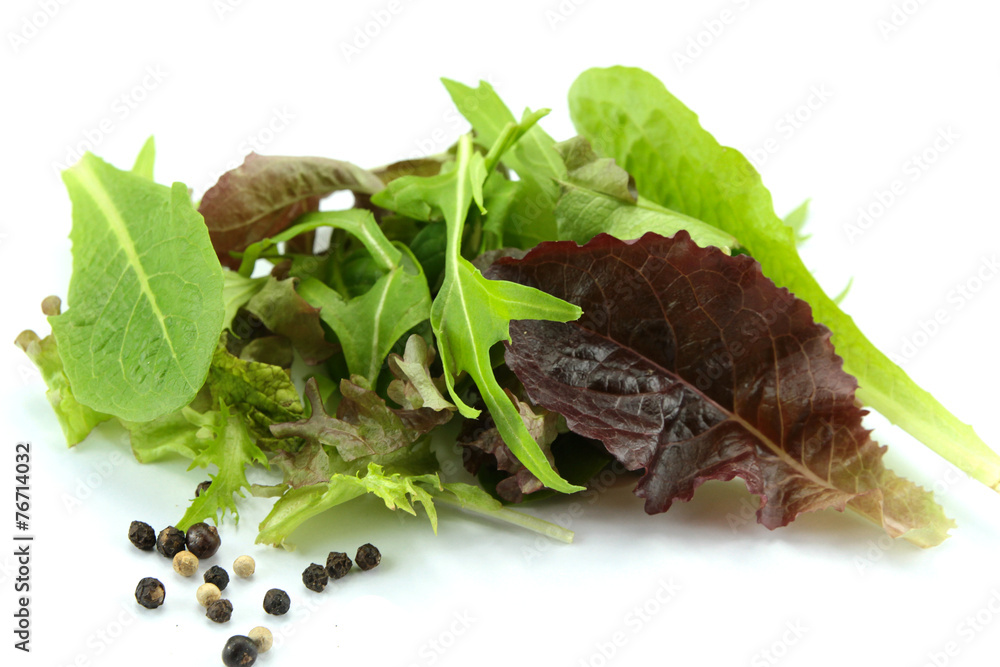 salade de jeunes pousses Stock Photo | Adobe Stock