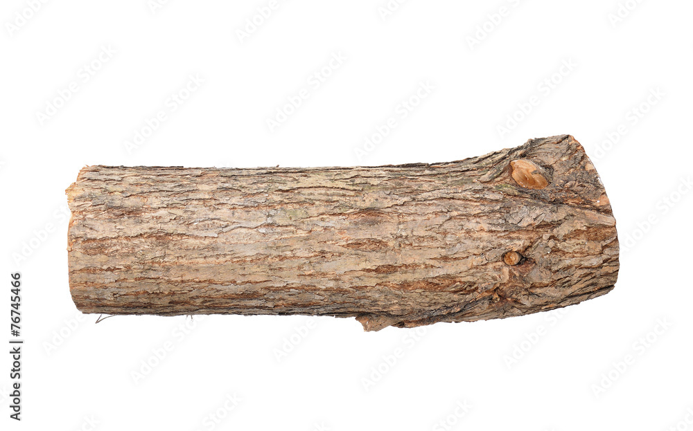 willow log isolated Stock Photo | Adobe Stock