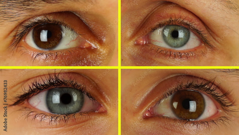 Four Different Human Eyes Look in a Circle Stock Video | Adobe Stock