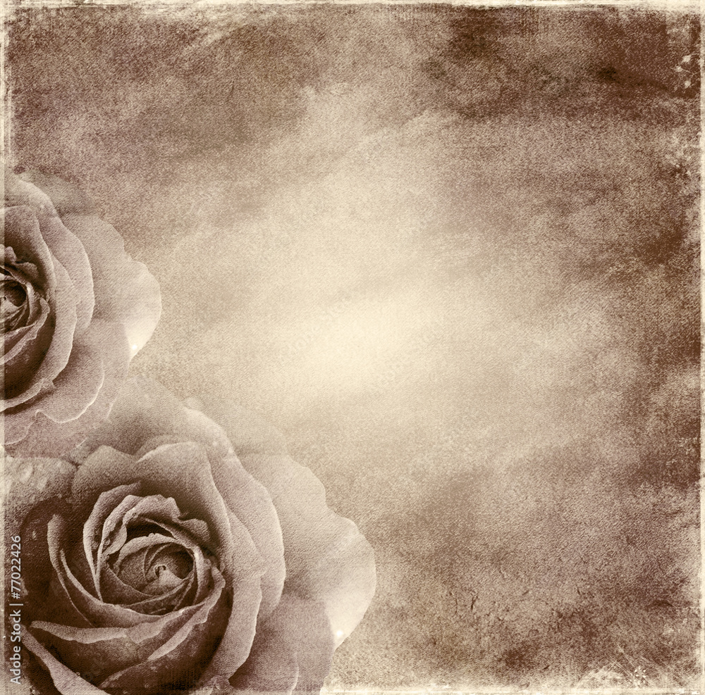 Paper background with roses Stock Illustration | Adobe Stock