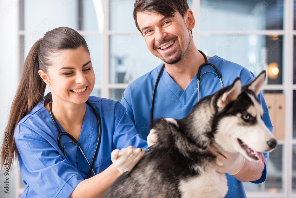 Veterinarian Stock Photo | Adobe Stock