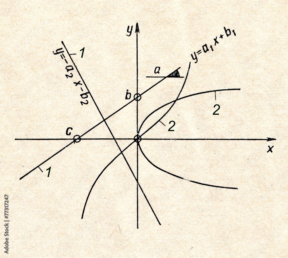 Straight lines and curves in the system of coordinates Stock Photo ...
