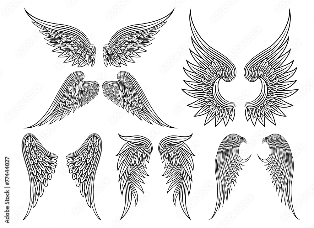 Vector heraldic wings or angel Stock Vector | Adobe Stock