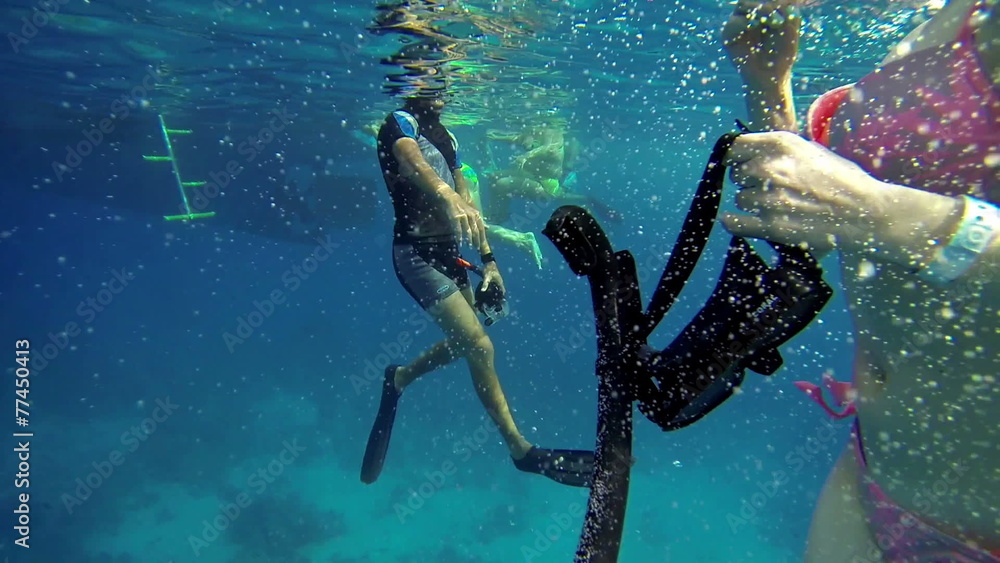 Sea and water life, people having fun, sea creatures with corals ...