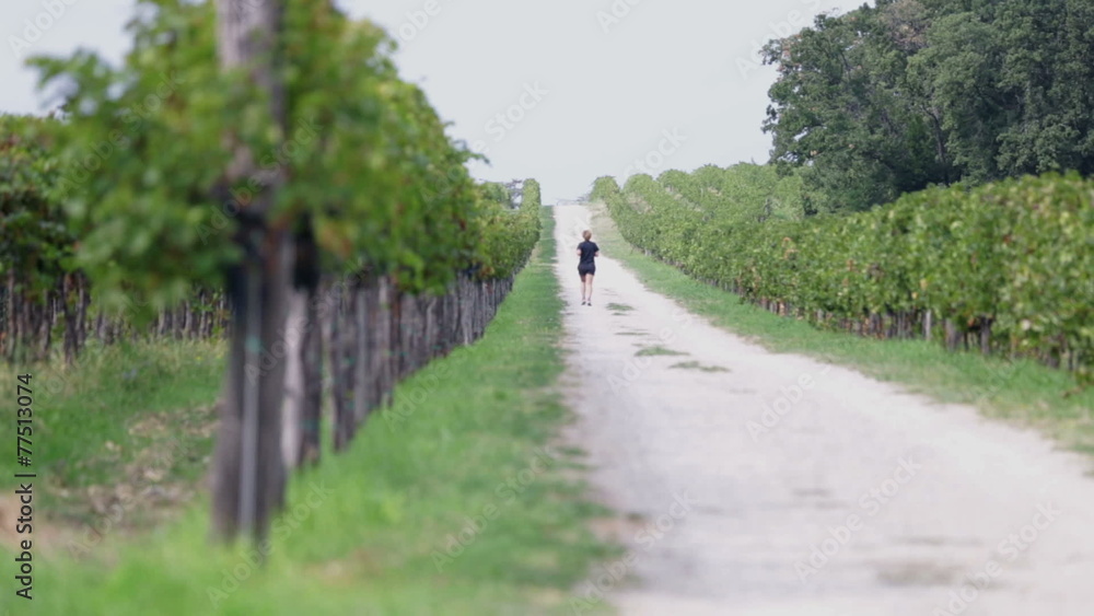 Macadam path with runner between two fields of grapevines Stock Video ...
