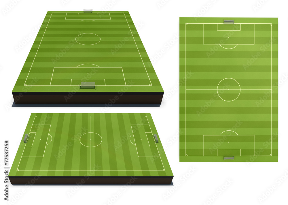 Layouts of a football field from different species Stock Illustration ...