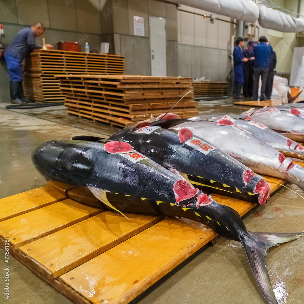 Tuna auction at Osaka Central Wholesale Market Stock Photo | Adobe Stock