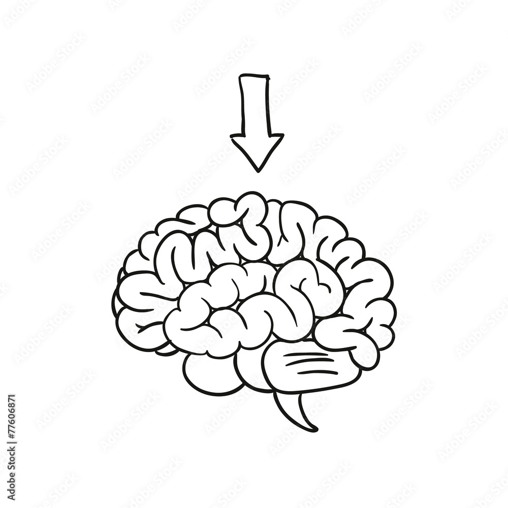 brain with arrow. vector illustration Stock Vector | Adobe Stock