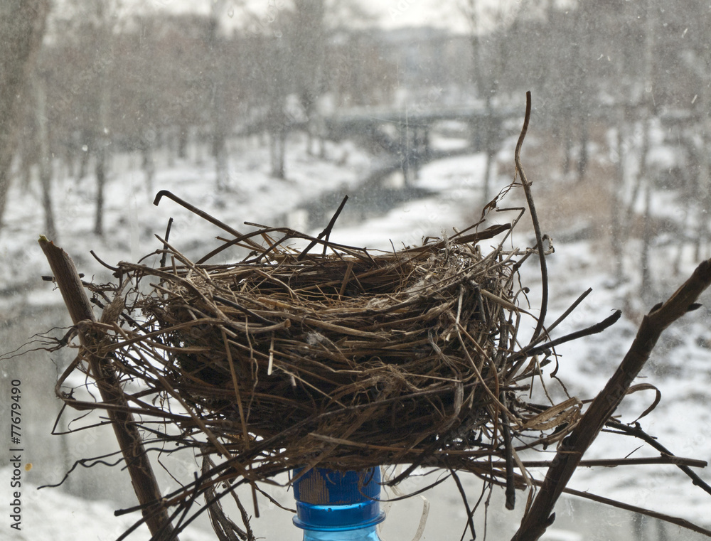 Bird's nest on a window sill. Stock Photo | Adobe Stock