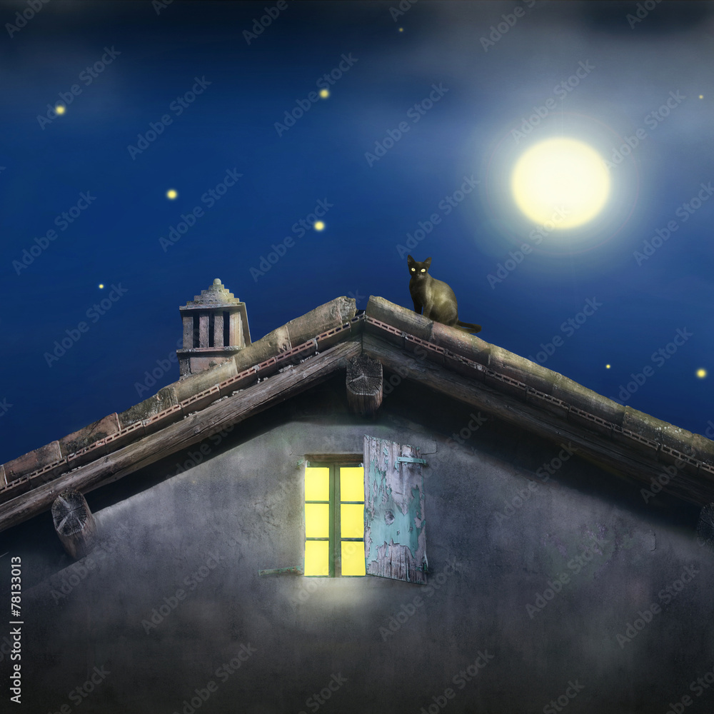 Moonlight Stock Photo | Adobe Stock