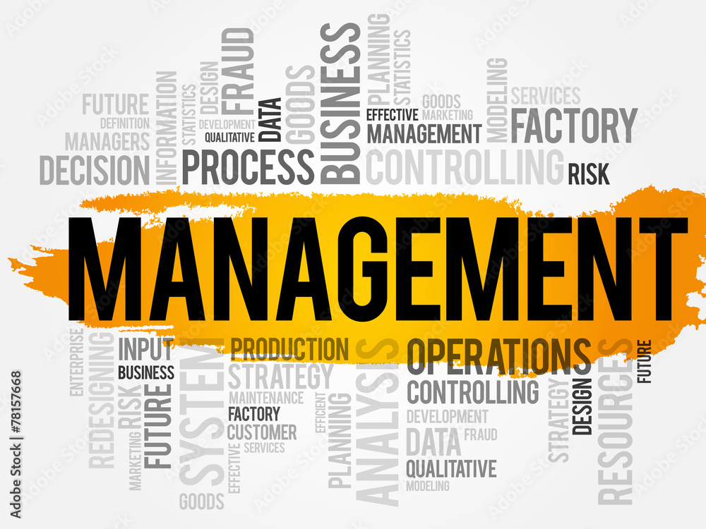 MANAGEMENT word cloud, business concept Stock Vector | Adobe Stock