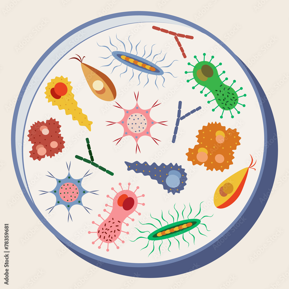 Cartoon various microbes Stock Vector | Adobe Stock