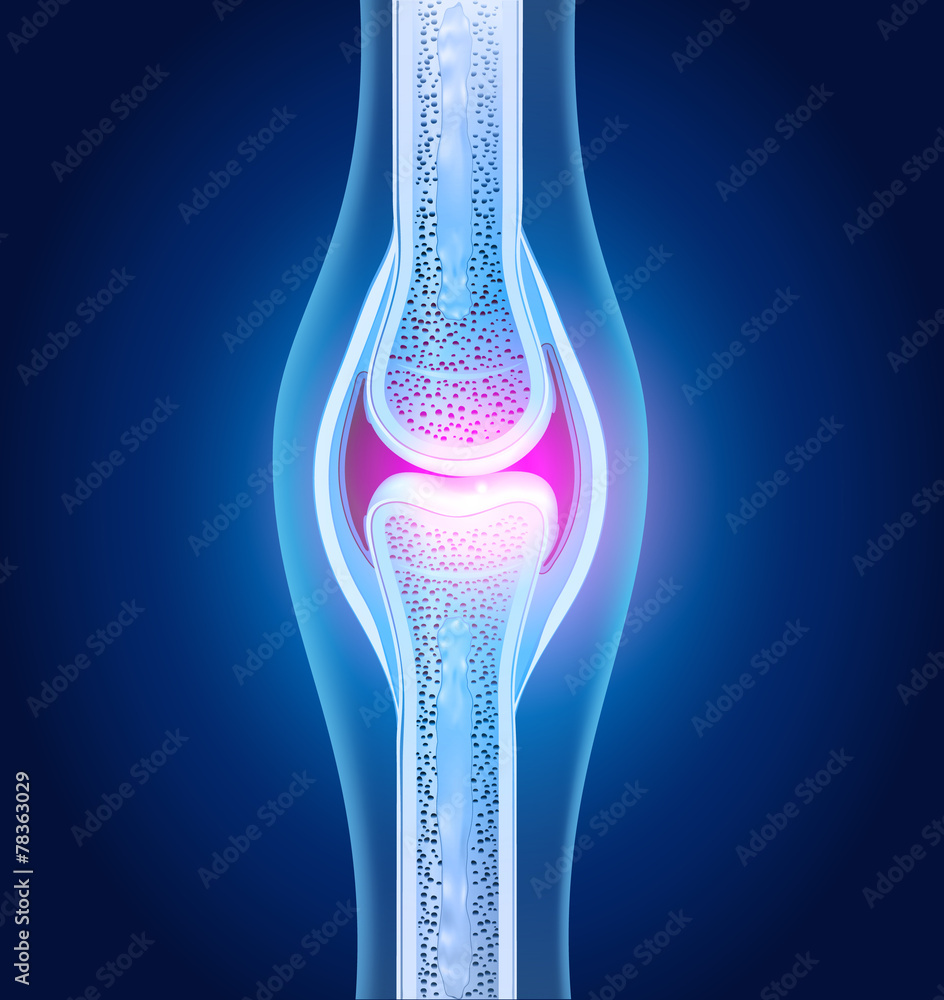 Normal joint anatomy abstract blue design Stock Vector | Adobe Stock
