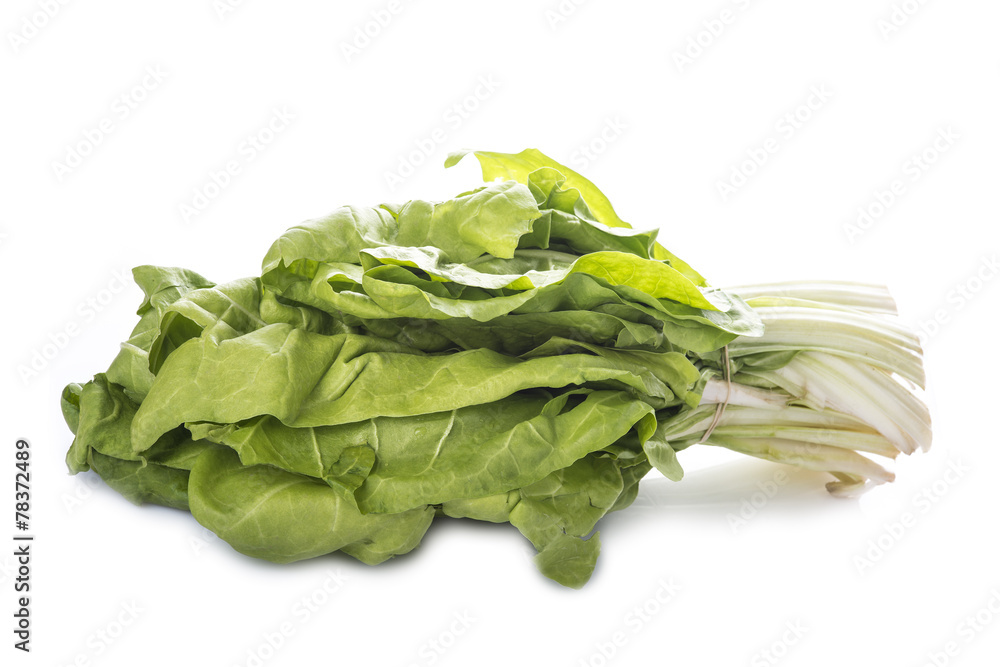 Manojo de acelgas frescas aislado sobre un fondo blanco foto de Stock ...