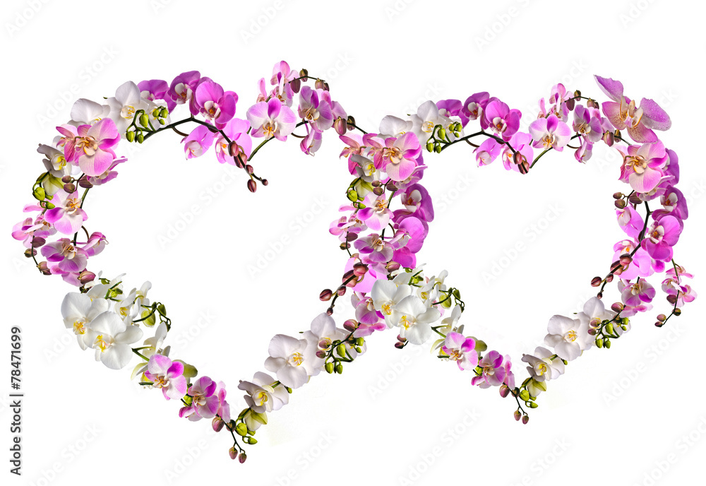 Hochzeit: Zwei Herzen in Liebe verbunden :) Stock-Foto | Adobe Stock