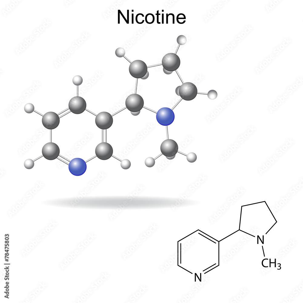 Structural chemical formula and model of nicotine Stock Vector | Adobe ...