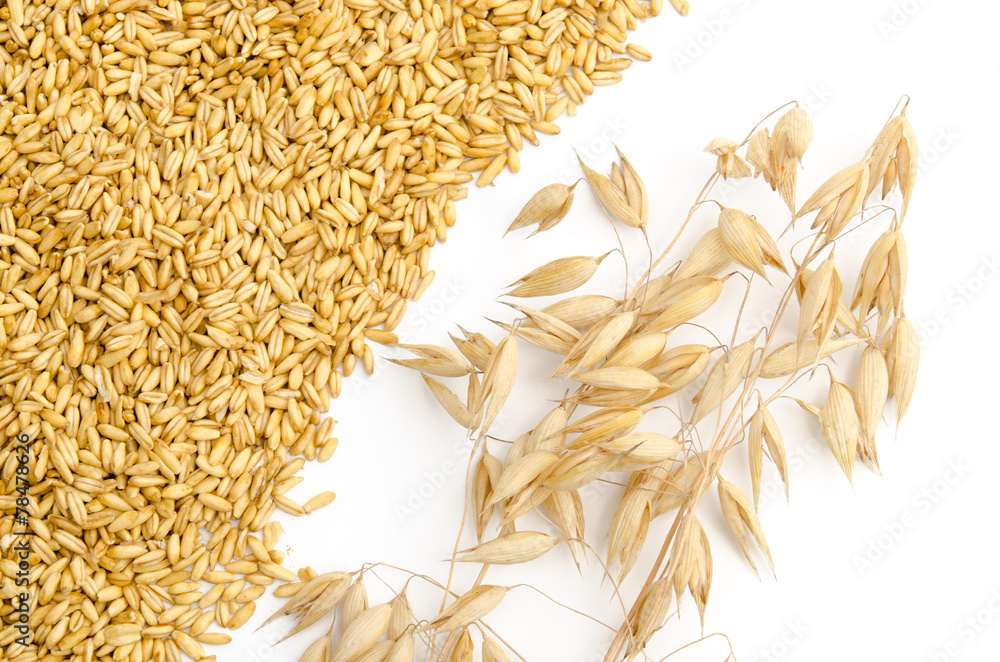 Hafer Stock-Foto | Adobe Stock