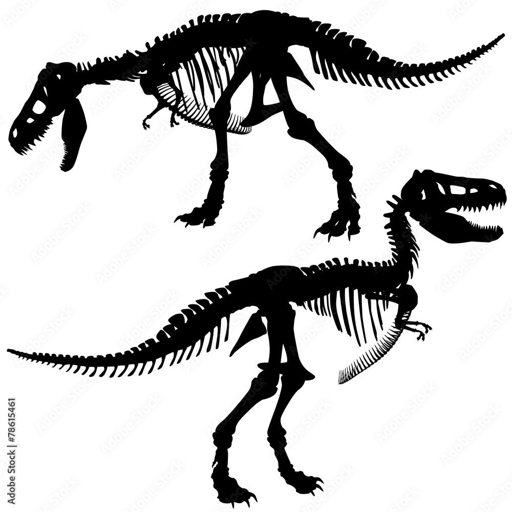T rex skeleton Stock Vector | Adobe Stock