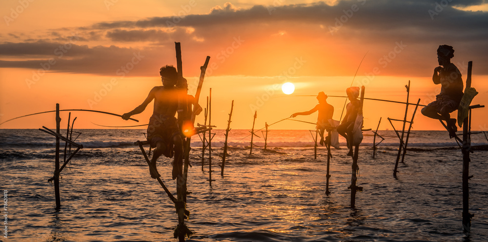 Standing on the single timber pole can only found in Sri Lanka Stock ...
