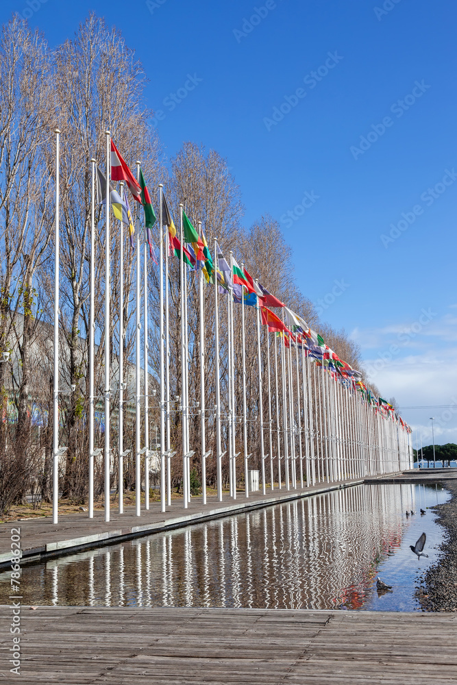 Flags of all the countries of the world waving in the wind Stock Photo ...
