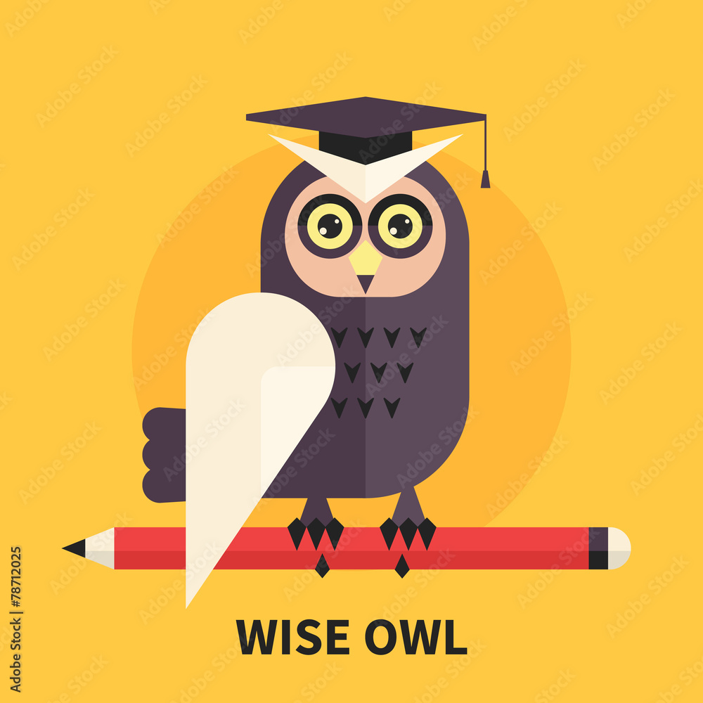 Wise Owl Pictures