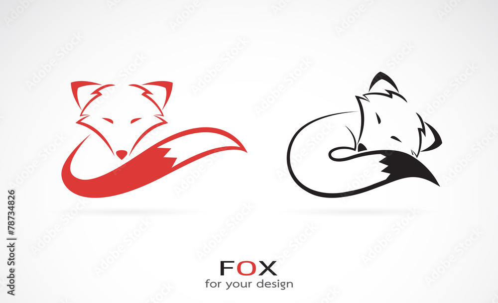 Vector of fox design on white background. Animals. Stock Vector | Adobe ...