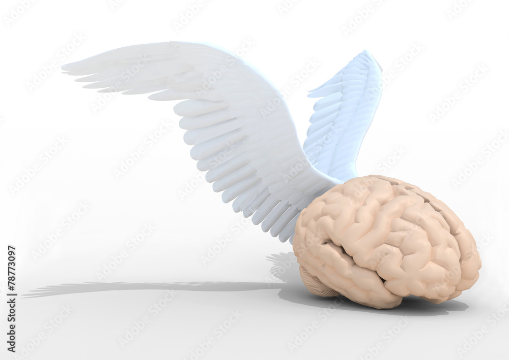 human brain with wings Stock Illustration | Adobe Stock