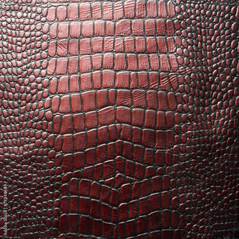 Crocodile leather texture Stock Photo | Adobe Stock