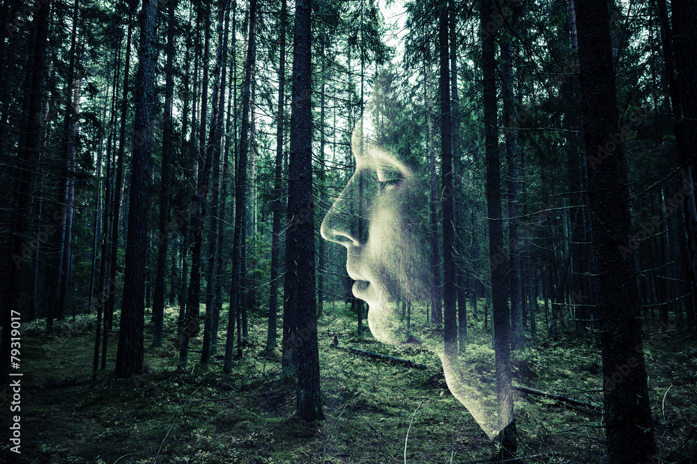 Male face profile over dark green forest background Stock Photo | Adobe ...