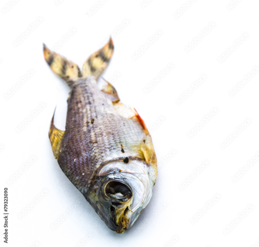 Raymond Carrion Death