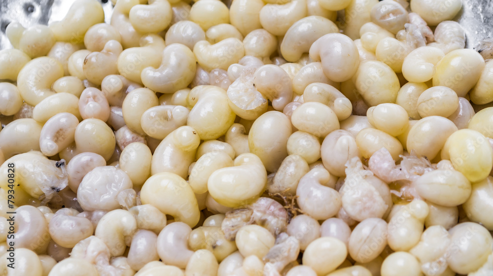 subterranean ant egg on iron plate in the market at Chiang Mai Stock ...